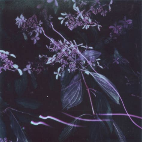 Stream Thomas In A Rick James Wig By Wayfinding Listen Online For