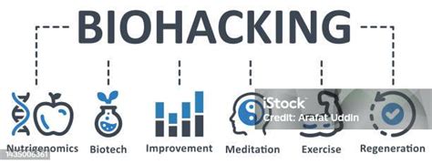 바이오 해킹 아이콘벡터 일러스트 레이 션입니다 바이오 해킹 영양 유전체학 생명 공학 개선 명상 운동 재생 인포 그래픽 서식 파일