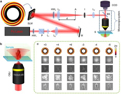Slm Based Experimental Set Up For 3d Chiral Microstructures In Download Scientific Diagram