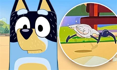 Clueless Us Bluey Fan Left Confused By What A Bin Chicken Is Why