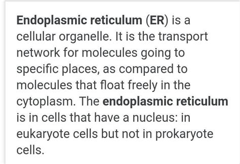 Drawing Of Endoplasmic Reticulum The Endoplasmic Reticulum Is A Network