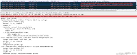 ssl握手过程实例抓包分析 ssl抓包分析 csdn博客
