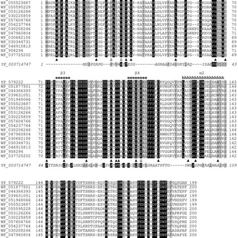 sequence alignment of the n terminal part of lytµ1 6 underlined with download scientific