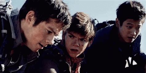 Maze Runner Gifs Newt Thomas Minho 15 Maze Runner Maze Runner Trilogy Maze Runner Funny