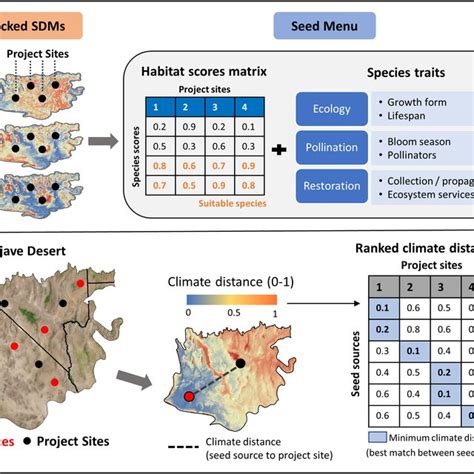 An Integrated Restoration Decision‐support Framework For The Mojave Download Scientific Diagram