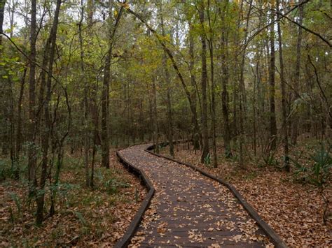 9 Best State Parks Near Houston To Escape The City Territory Supply
