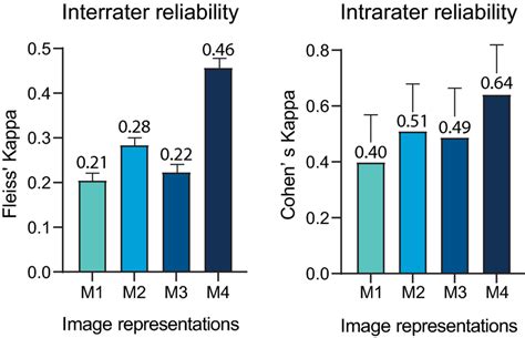 Inter Rater Reliability Fleiss Kappa Scores And Intra Rater Download Scientific Diagram