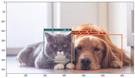e2e object detection in tflite object detection in tflite ipynb at
