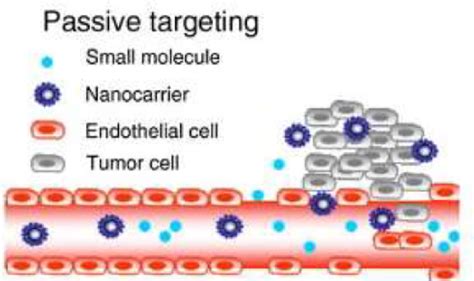 Passive Targeting Of Nano Carriers Abou Jawde Et Al 2003 Download Scientific Diagram