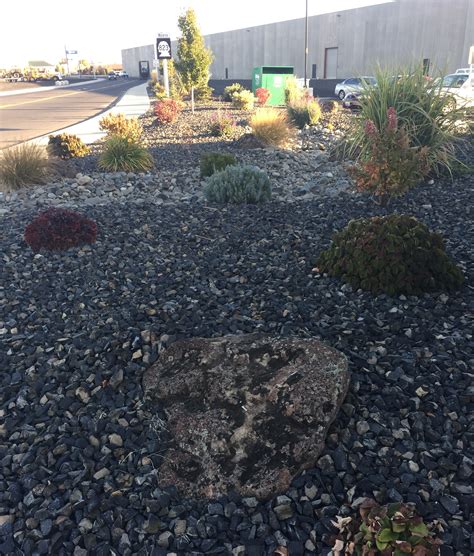 Tree Top Yakima At Ethan Carl Blog