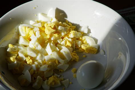 계란을 잘게 자른 삶은 국산 달걀을 반으로 잘라서 얇게 썰어 가금류에 대한 스톡 사진 및 기타 이미지 가금류 개념 건강한 생활방식 Istock