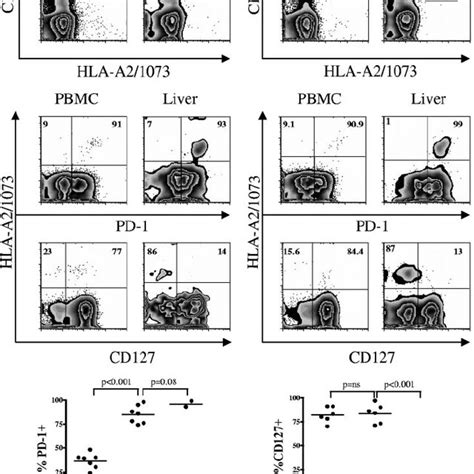 Hcv Specific Cd8 ϩ T Cells Express Pd 1 In Human Chronic Hcv Infection