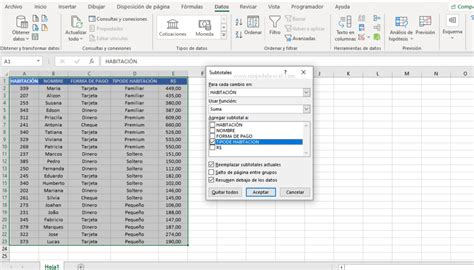 Cómo Agrupar Datos En Excel Esquema Ninja Del Excel