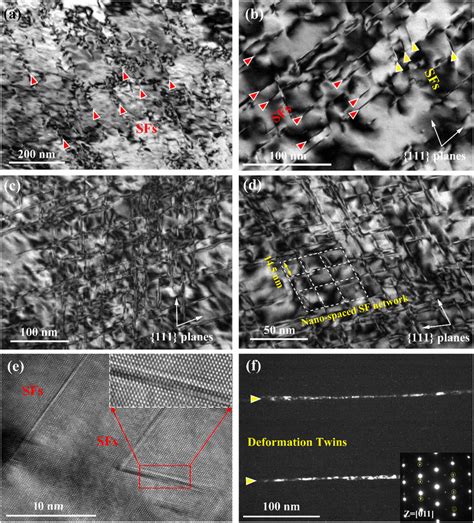 Tem Micrographs Showing The Microstructural Evolutions Of The Present Download Scientific