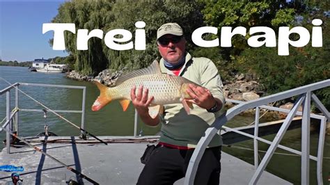 Trei Crapi YouTube