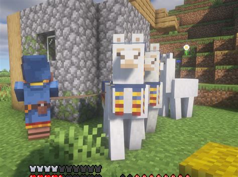 The Wandering Trader Stole My Llama And Now I Cant Get It Back With A Hay Bale Rminecraft The Wandering Trader Stole My Llama And Now I Cant Get It Back With A Hay Bale Rminecraft