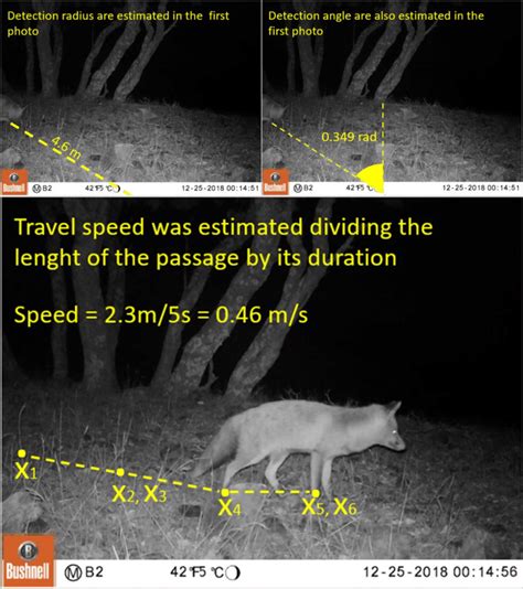 Appendix 2 Example Of Random Encounter Model Parameters Top Panels Download Scientific
