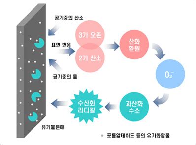 새집증후군의 정의와 대처방법 에누리 쇼핑지식 구매가이드