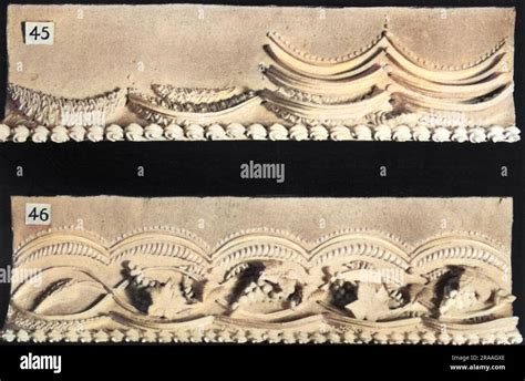 Cake Border And Side Scroll Designs 45 Crescent Scallop Border 46