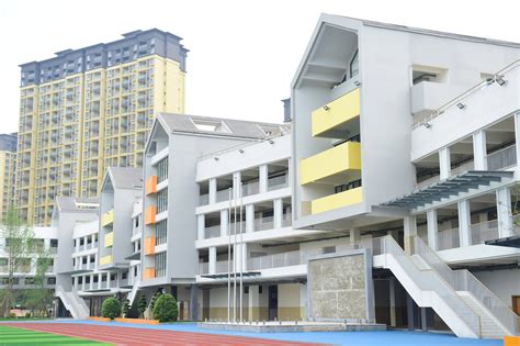 产业建圈强链案例丨提升公服品质 强化学位供给 发展 教育 建设
