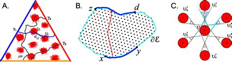 Grid Cells A Grid Fields Form A Hexagonal Lattice Embedded Into A