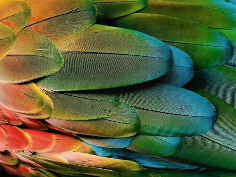 How To Compress Your Images Without Losing Quality Uploadcare