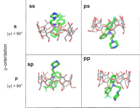 Illustration Of The Classification Of The Four Binding Poses Of The Download Scientific Diagram