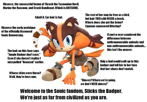 I Loved Sticks She Was The Best Character In Sonic Boom Rsonicthehedgehog