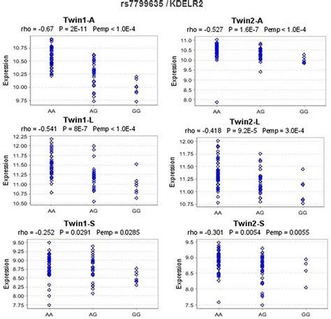 Identification Of Genetic Variants Predictive Of Early Onset Pancreatic