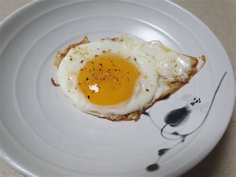 계란후라이 어떻게 먹음 유머움짤이슈 에펨코리아