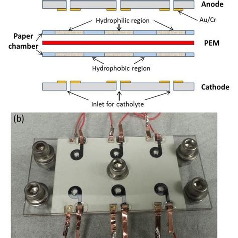 A Schematic And B Photo Image Of The Paper Based Microbial Sensor Download Scientific