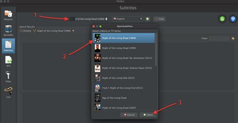FileBot Rename Your Media Files Like A Pro RapidSeedbox
