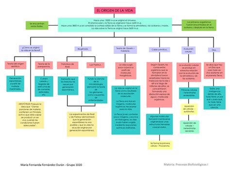Mapa Conceptual El Origen De La Vida MarÌa Fernanda Fern·ndez Dur·n
