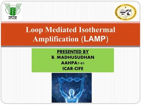 Loop Mediated Isothermal Amplification Ppt
