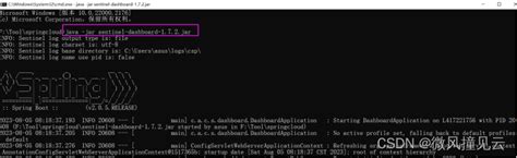 【分布式流控组件 Sentinel 快速入门】——图文详解操作流程sentinel组件介绍 Csdn博客