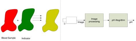 1 The Colorimetric Design Proposal Download Scientific Diagram