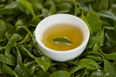 이 겨울 코코아 대신 녹차와 돼지감자차를 택한 이유 당신의 건강가이드 헬스조선