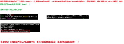【linux仓库】命令行参数与环境变量【进程·伍】bash 获取环境变量 Csdn博客
