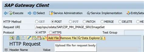 Building Odata Services 20 Media Handling Discovering Abap