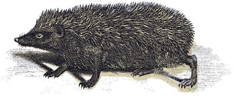 Trader Joes Locations In Bellingham Washington Grocery Store