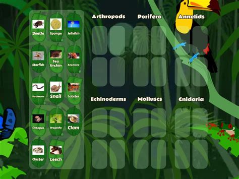 Groups Of Invertebrates Group Sort