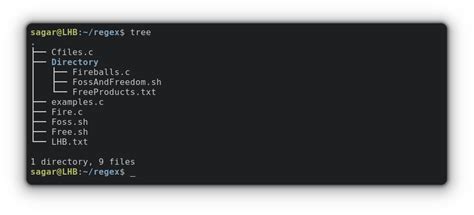 Find Command In Linux With Regex 5 Examples
