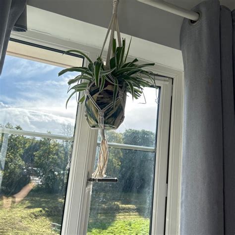 Macrame Ceiling Plant Hanger Indoor Hanging Wall Planter Macrame Wall