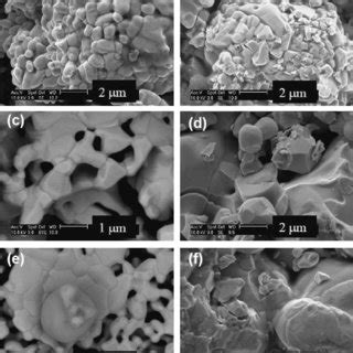 SEM Appearances Of The As Obtained Bottom Surface And As Polished Download Scientific Diagram