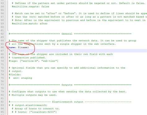 Elasticsearch How To Pass Dynamic Variable Value To Filebeat Stack