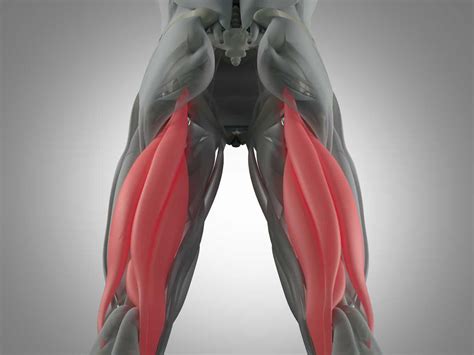 Three Symptoms Of A Hamstring Strain