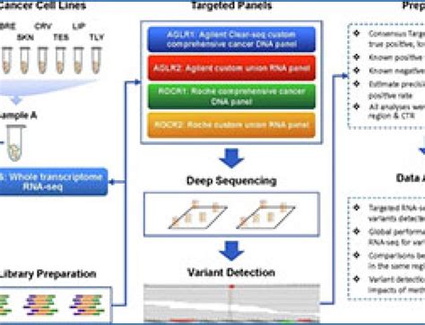 Seuratextend Streamlining Single Cell Rna Seq Analysis Through An Integrated And Intuitive