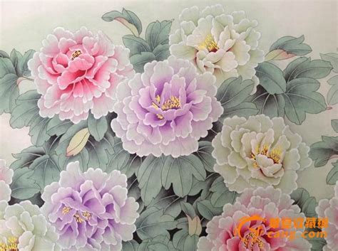 牧牡丹花素描画 牡丹花素描图片大全 牡丹花素描画 第2页 大山谷图库