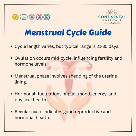 Hormones Released During Menstrual Cycle