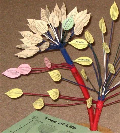 Making Tree Of Life Models